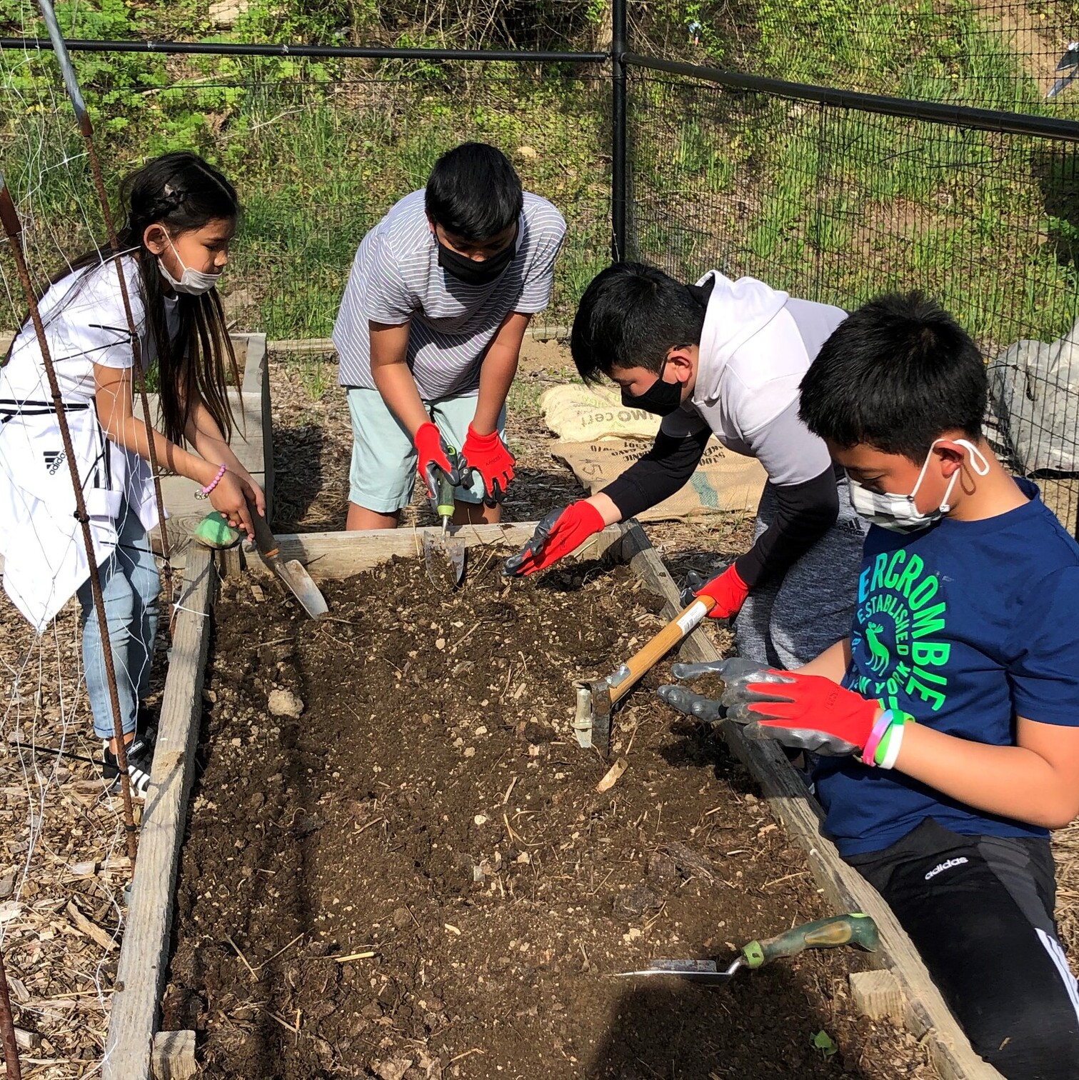 Youth Programs- PreK, After School, Mentoring, Camp - SHIM