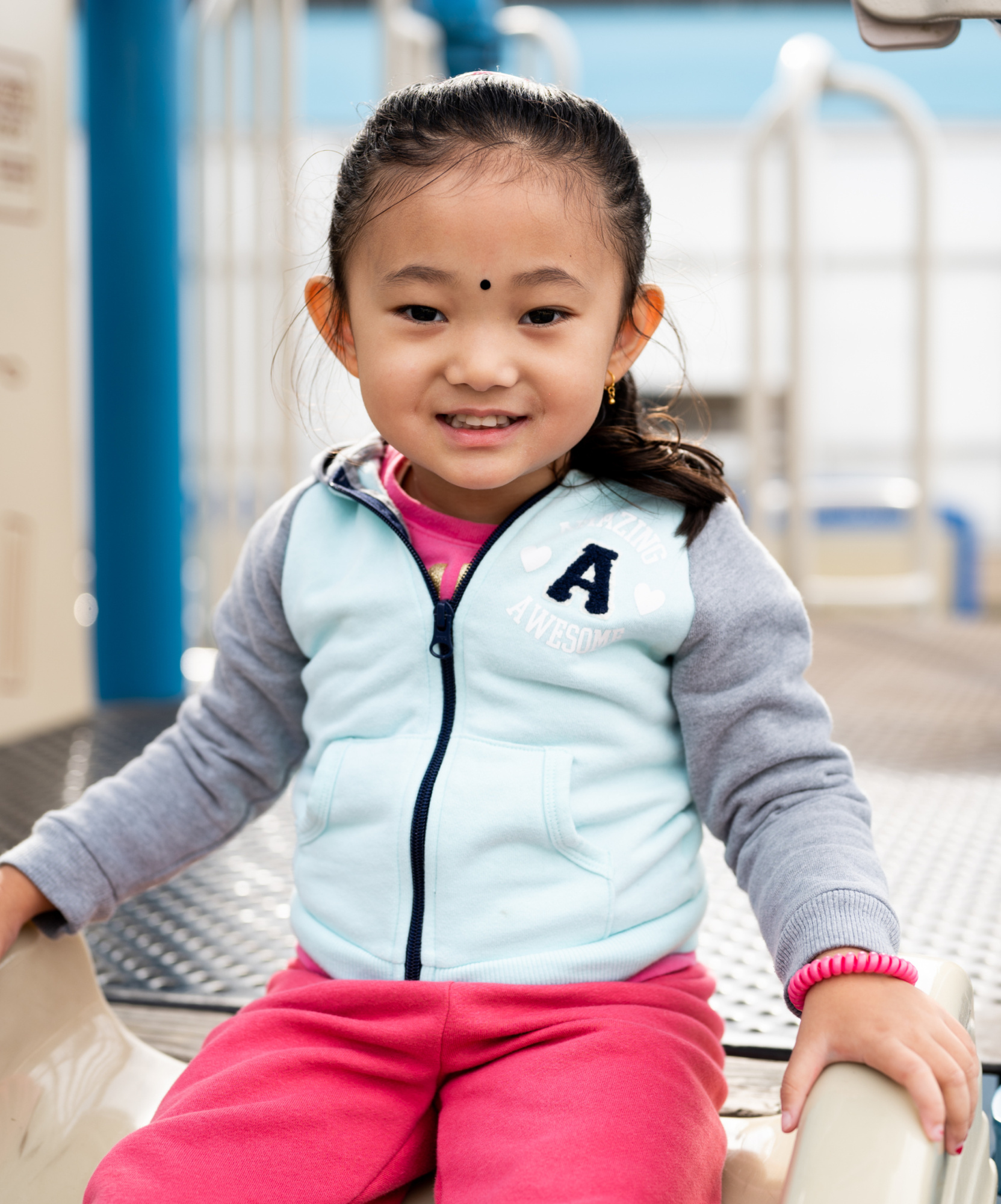 SHIM Snapshot- A Brief Overview of Programs - SHIM